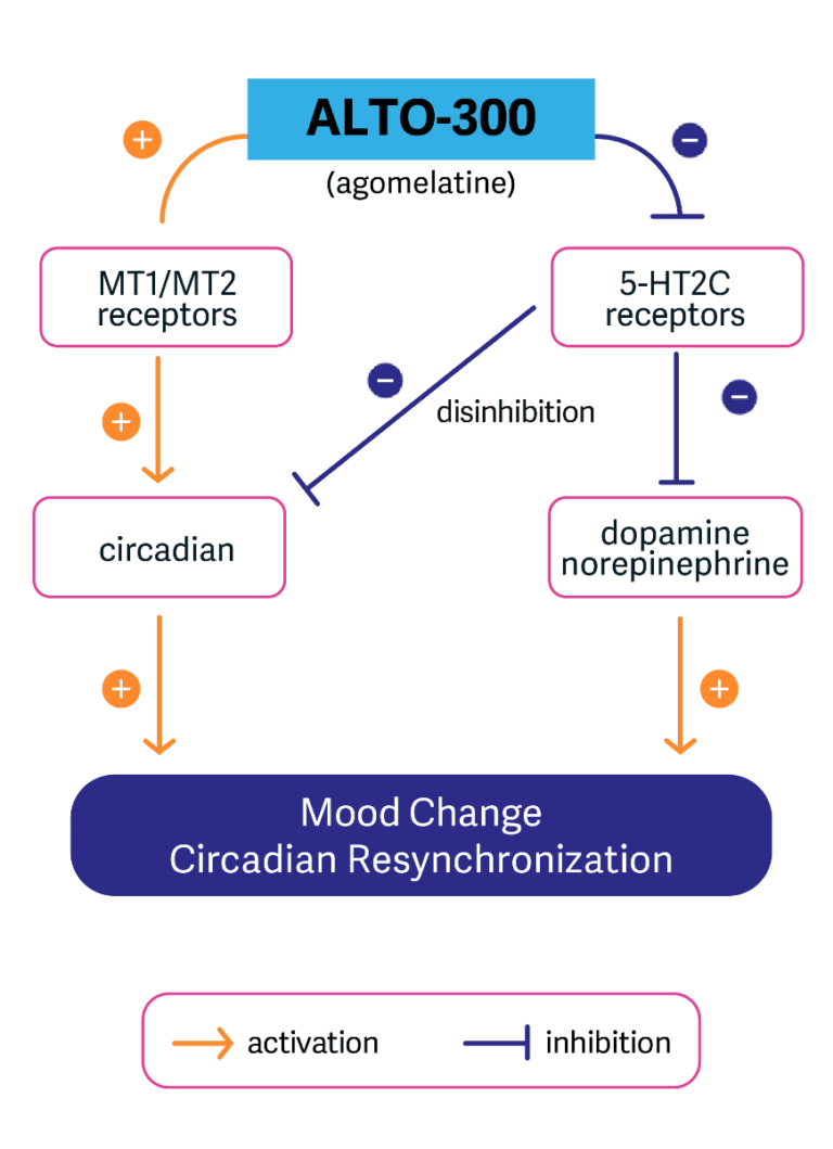 Precision Psychiatric Medicines | Alto Neuroscience Pipeline